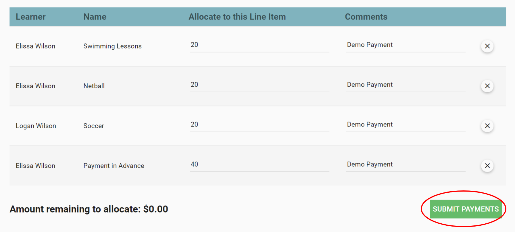 Paying Multiple Line Items with a Single Payment – Hero