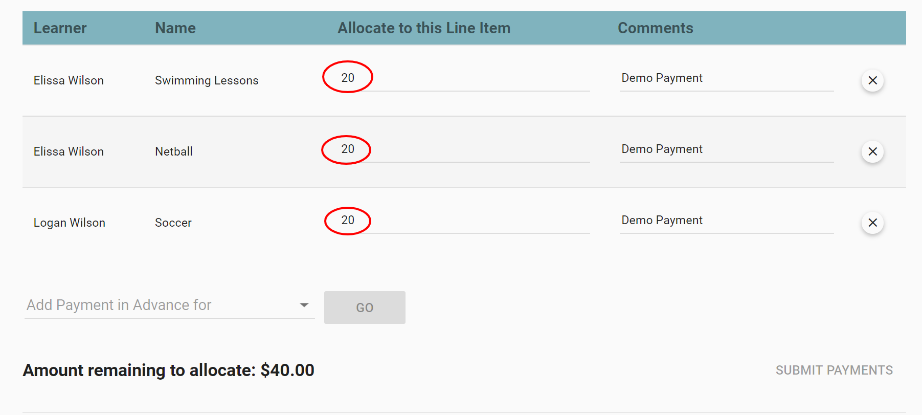 Paying Multiple Line Items with a Single Payment – Hero